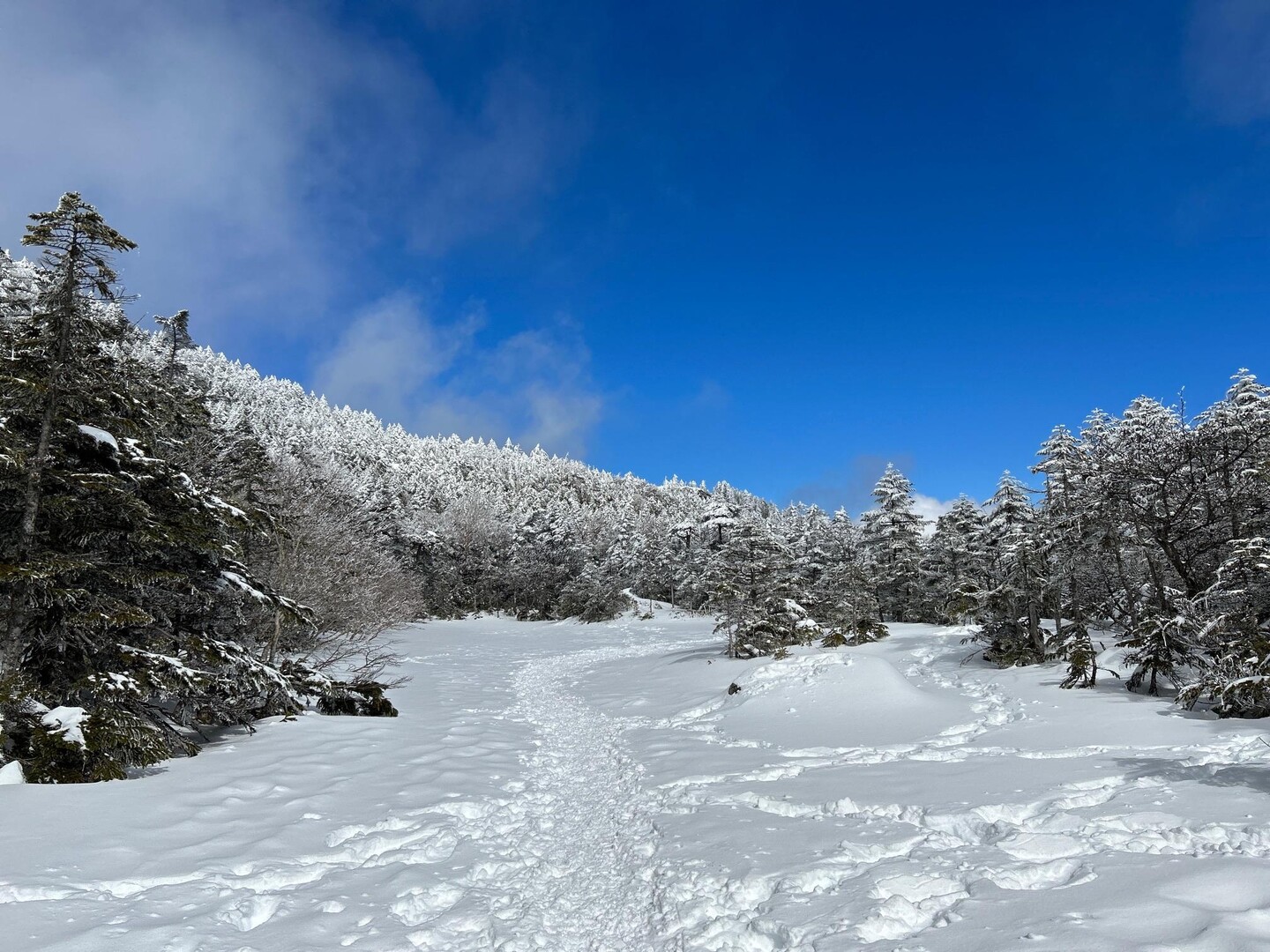 北横岳雪見遠足20240218 / あきTRさんの蓼科山・横岳・縞枯山の活動データ | YAMAP / ヤマップ