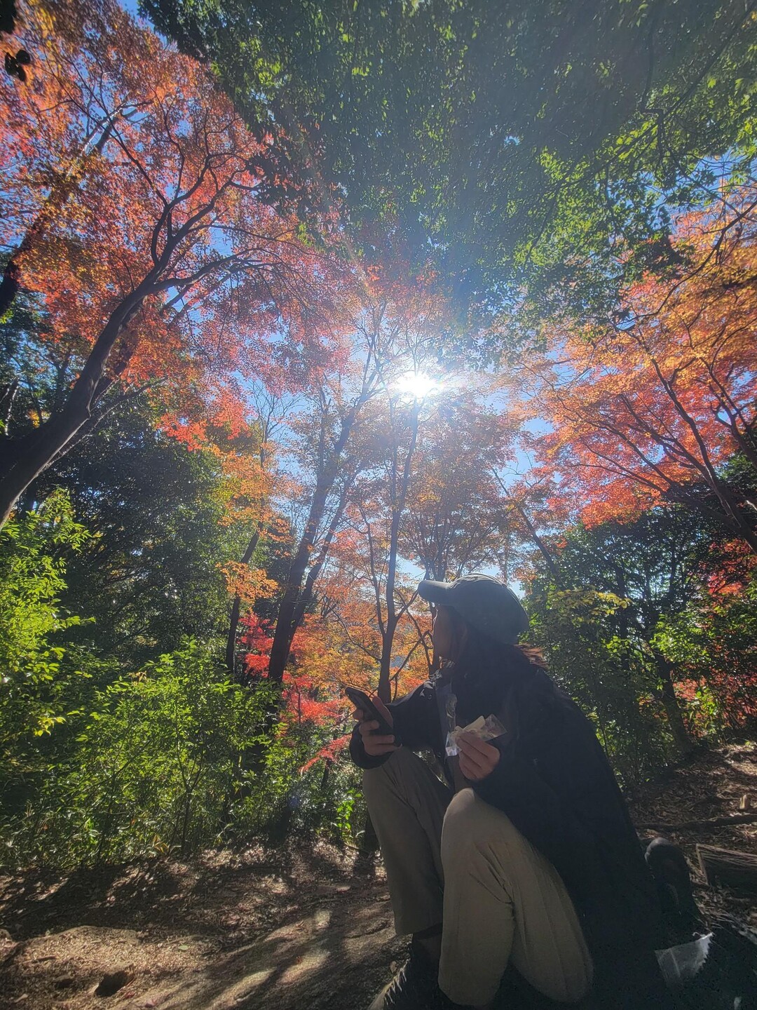 平日の岩登り 貸切状態、天下峯 女子ふた... / ゆっきさんのモーメント | YAMAP / ヤマップ