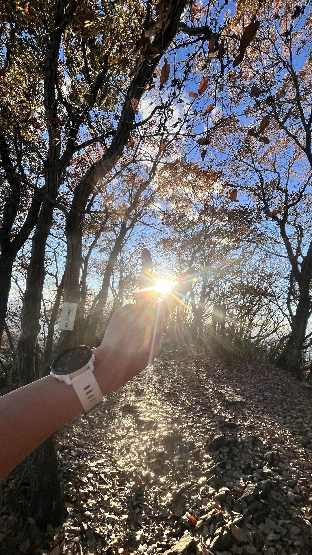 23分台登頂:伸び悩みの吾妻山 / Shinamonさんの鳴神山・吾妻山の活動日記 | YAMAP / ヤマップ