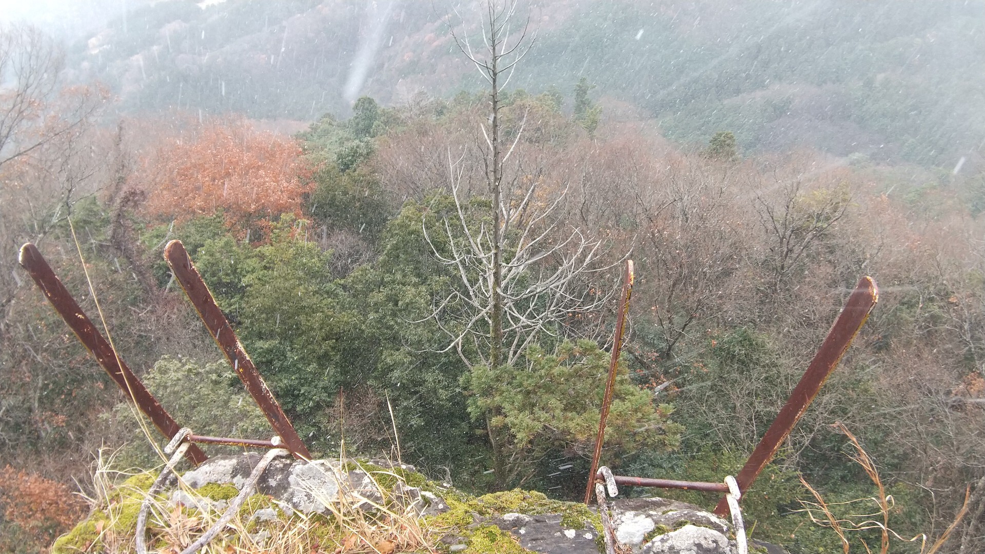 koiさんの投稿したフィールドメモ | YAMAP / ヤマップ