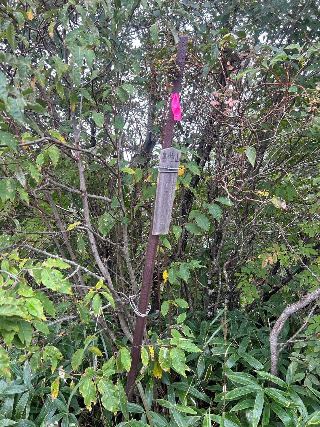 氷妻山・鼻曲山 / Mizo_Mizoさんの鼻曲山・氷妻山・留夫山の活動データ | YAMAP / ヤマップ