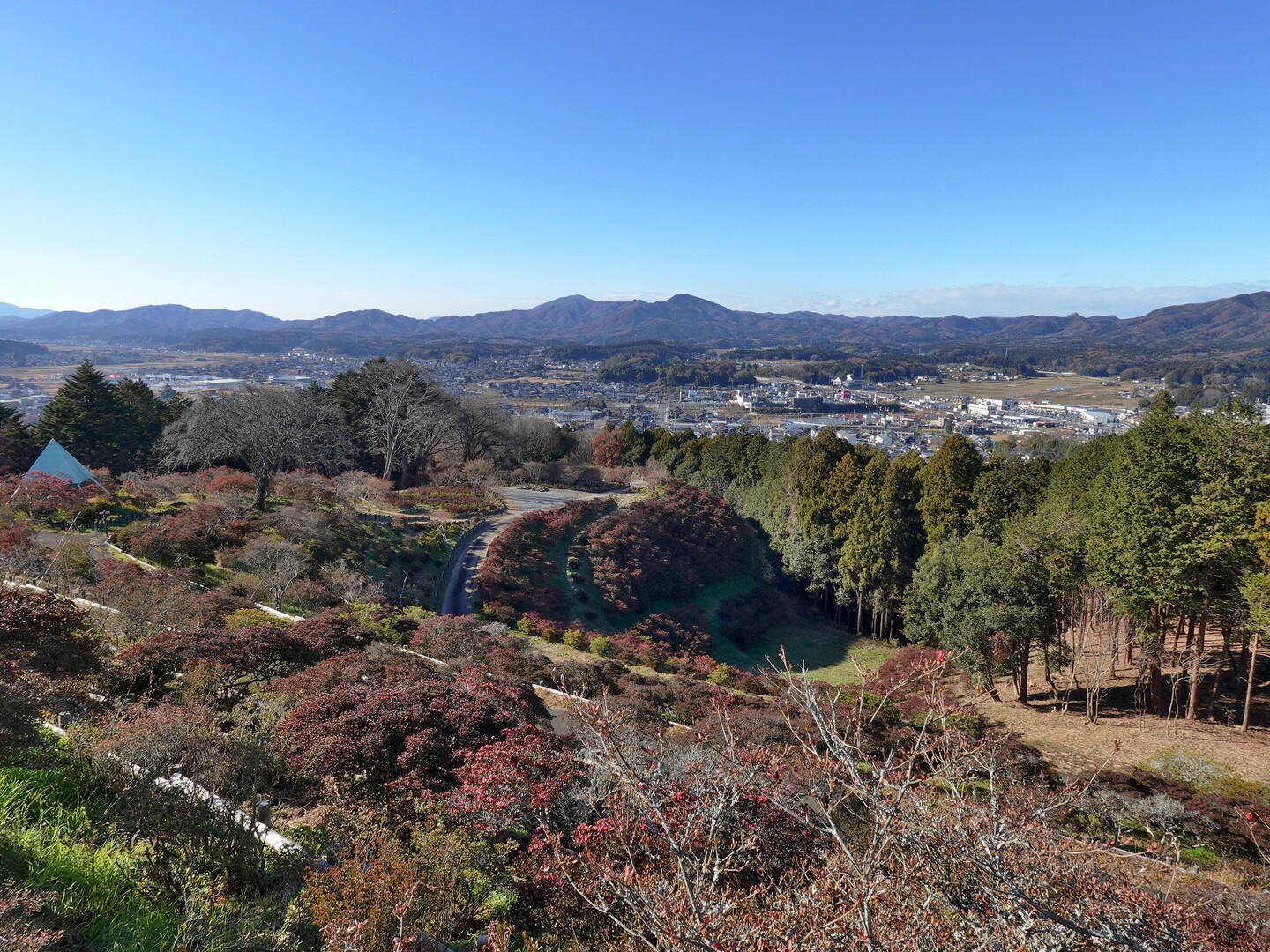 佐白山（かさま陶芸の里ハーフマラソン） / aomoriさんの焼森山・鶏足山の活動日記 | YAMAP / ヤマップ