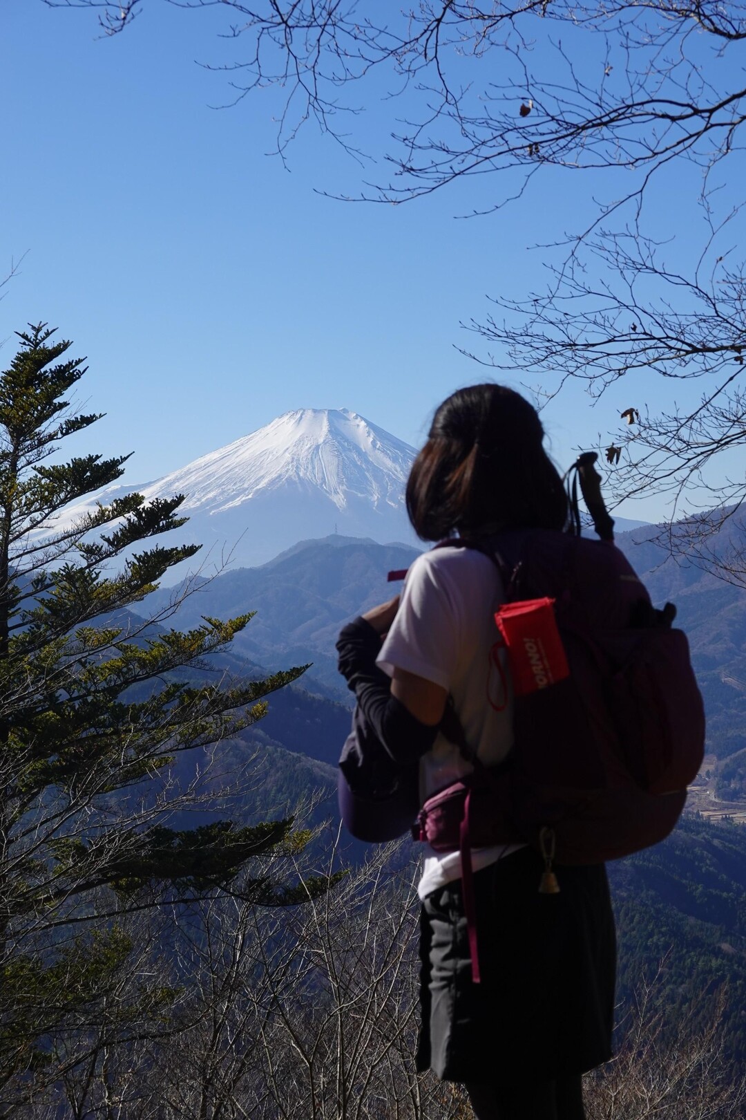 今日も急登⤴️⤴️鳥ノ胸山 / koroponさんの大室山・畦ヶ丸山・菰釣山の活動データ | YAMAP / ヤマップ