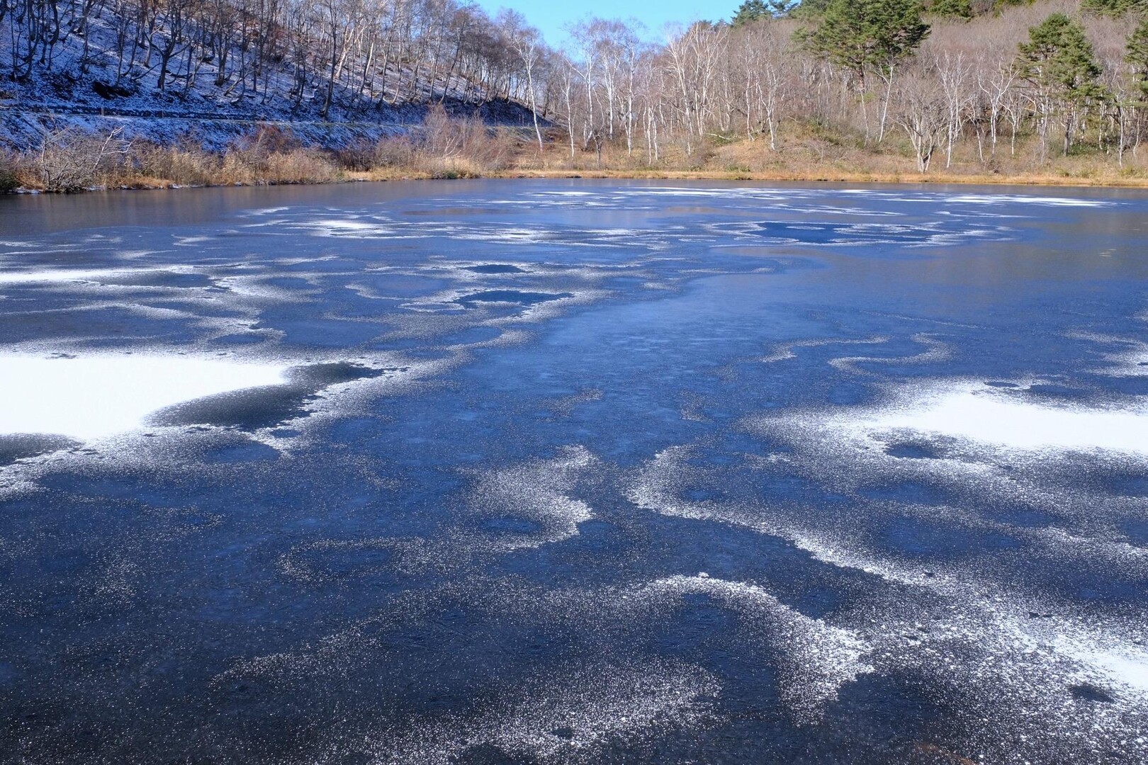 志賀高原-一沼-2022-12-07 / ゆきのひとひらさんのモーメント | YAMAP / ヤマップ