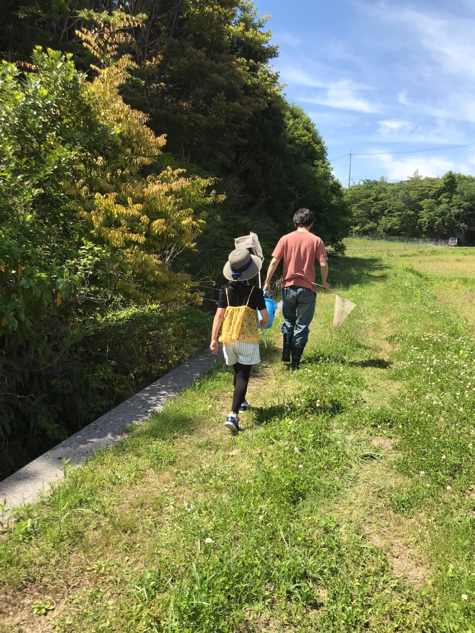 Panchanのページ | YAMAP / ヤマップ