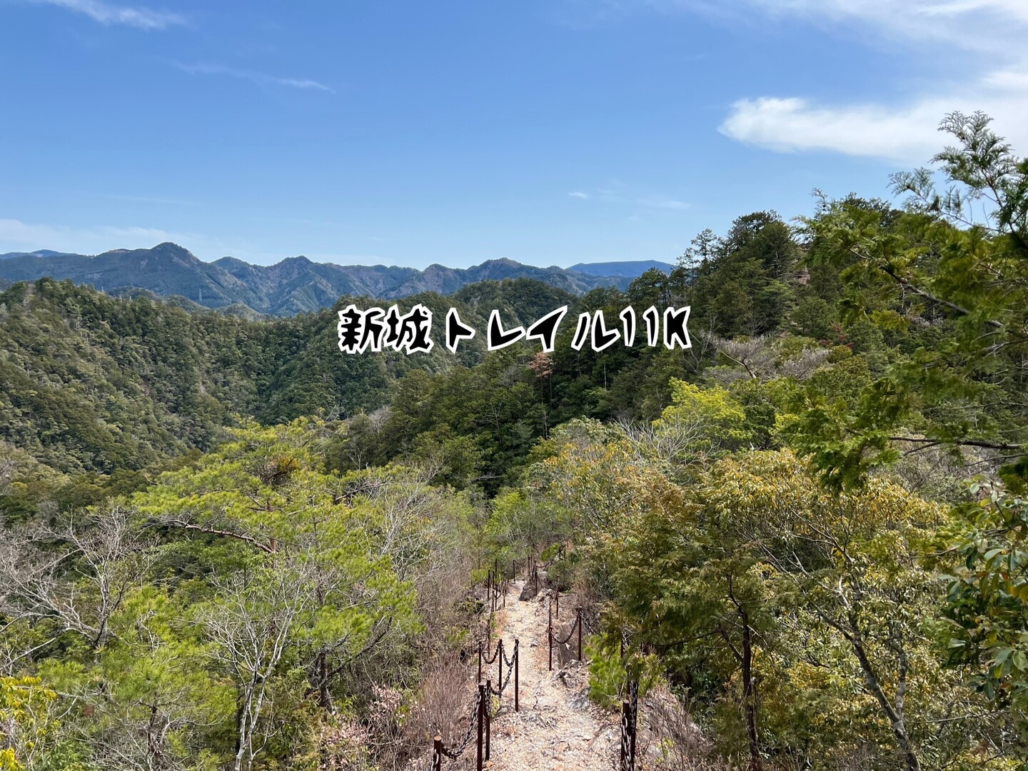 DNS:新城トレイル11K😭 / ケイスケさんの宇連山・鳳来寺山・岩古谷山の活動日記 | YAMAP / ヤマップ