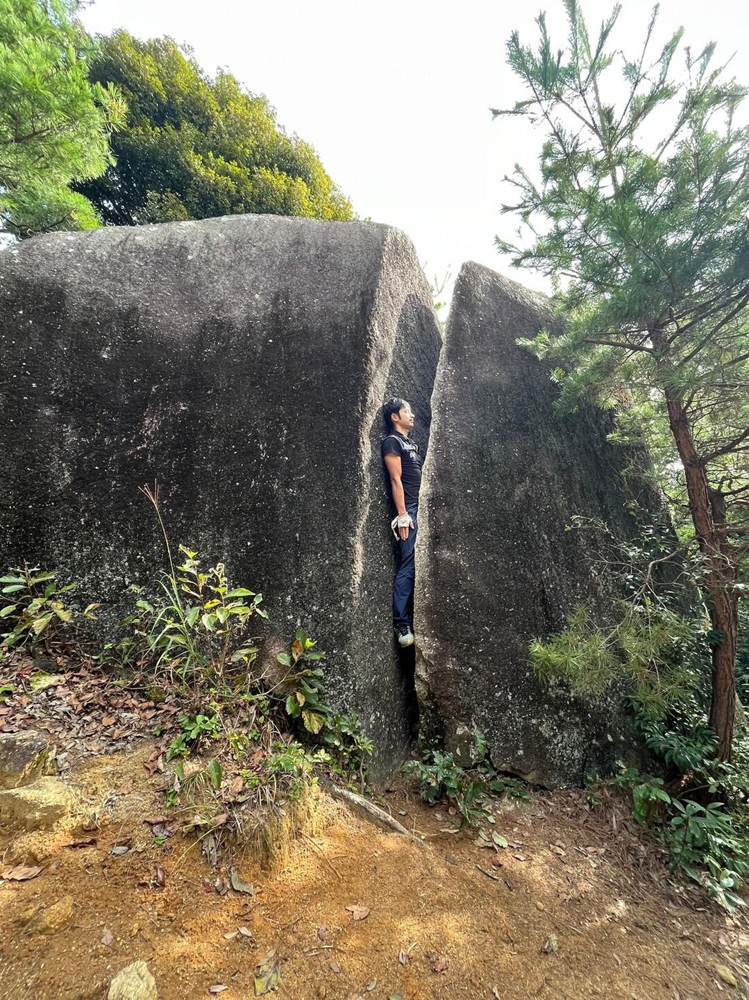 豊田 天下峯 クライミング / suzuさんのクライミングの活動データ | YAMAP / ヤマップ