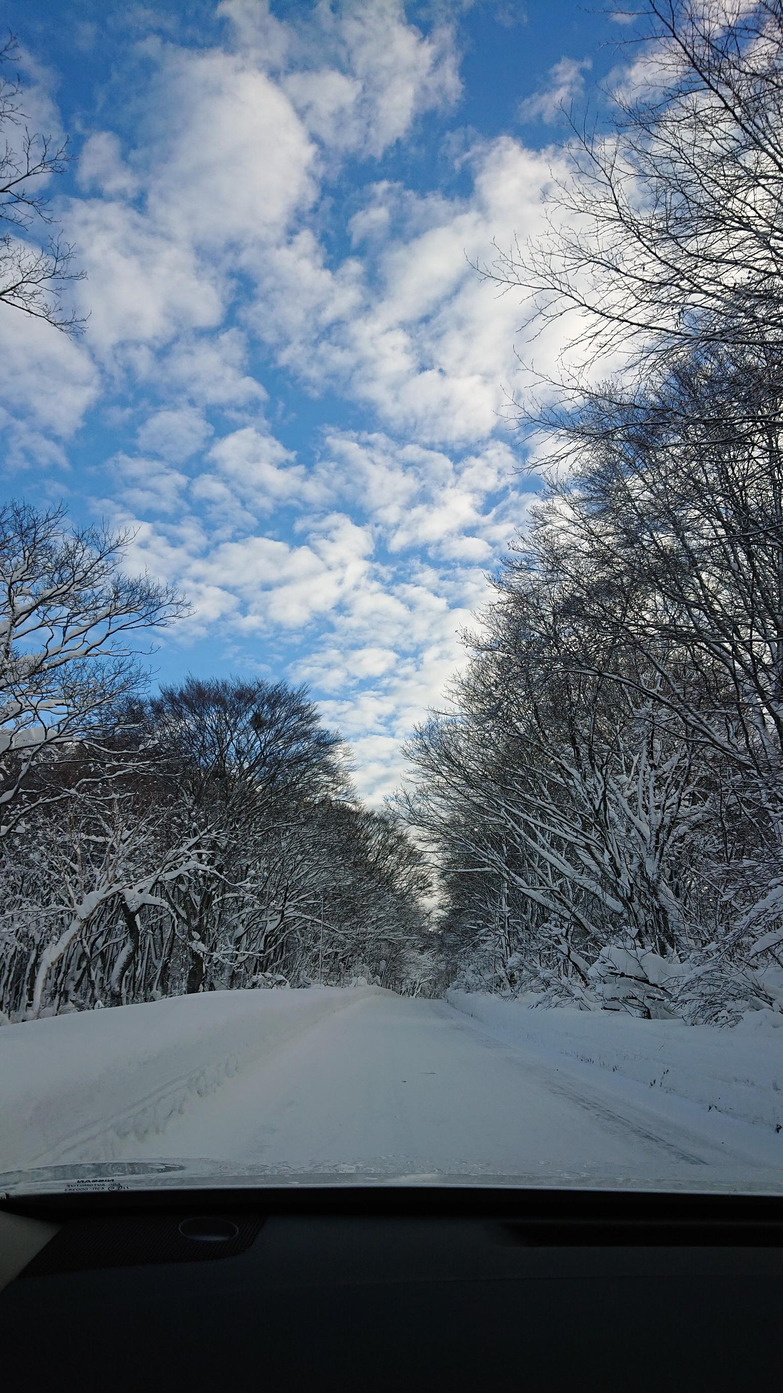 今朝の国道103号。 / イチローさんのモーメント | YAMAP / ヤマップ