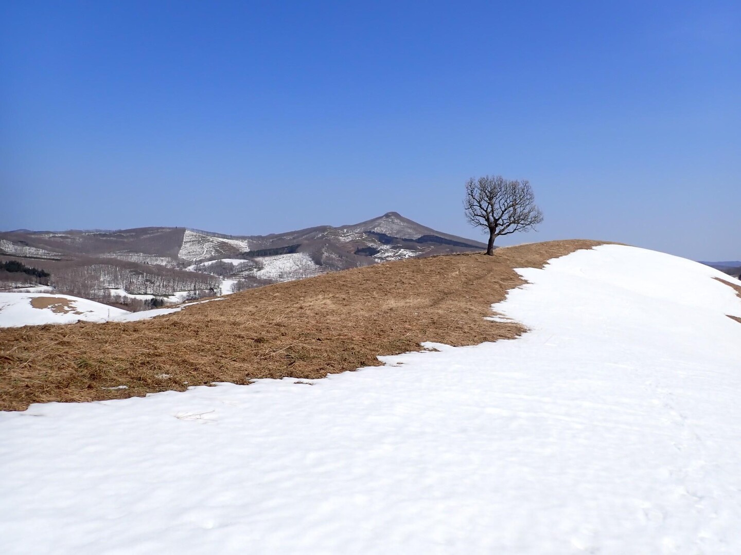 手ぬぐい山 / moneさんの幌岩山の活動データ | YAMAP / ヤマップ