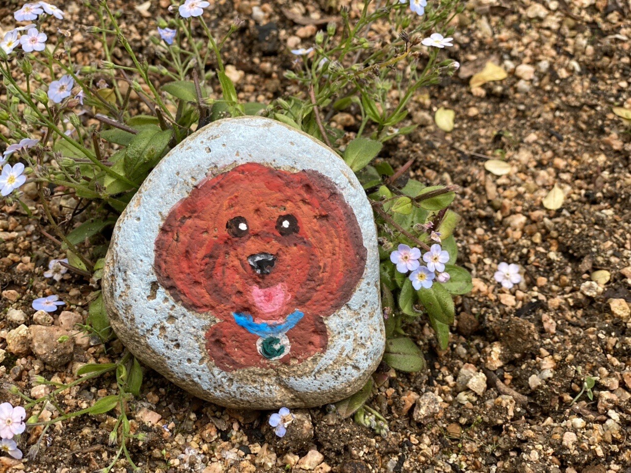 ワロック チョコを描いてみた。 どこに旅... / Rieさんのモーメント | YAMAP / ヤマップ