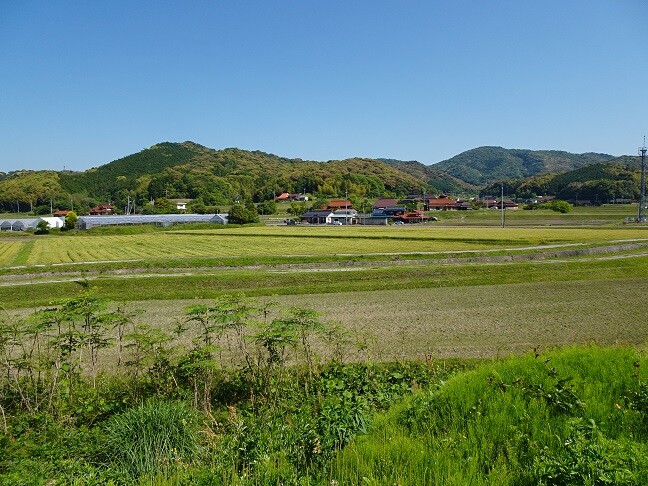 光専坊山 210m 綿打山 241m 大崩山 242m 井料山 230m 白馬山 149m / 熊毛の住人さんの禅定寺山・平原岳の活動日記 | YAMAP / ヤマップ