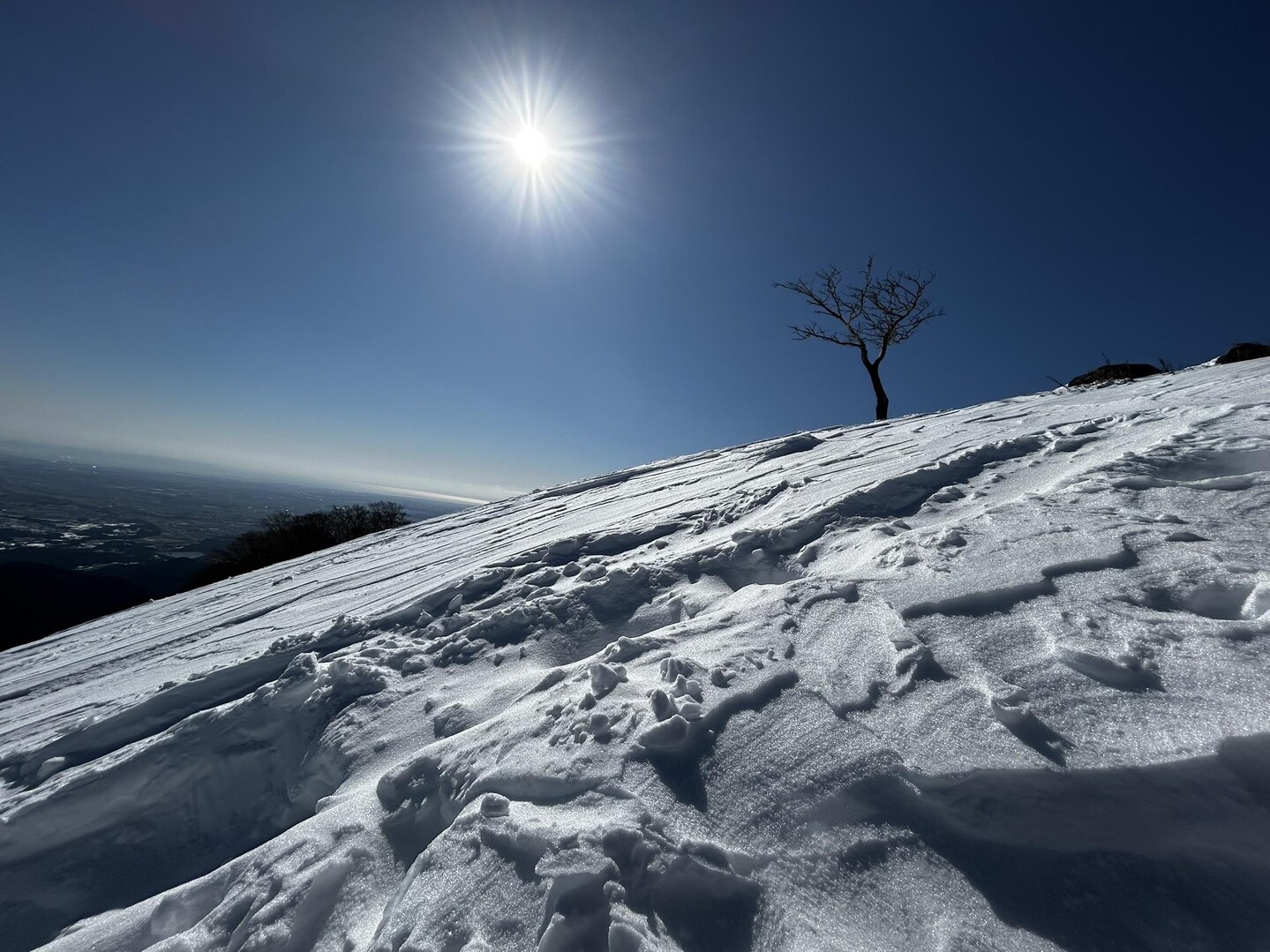 竜ヶ岳🐉 / Nandoさんの竜ヶ岳の活動データ | YAMAP / ヤマップ