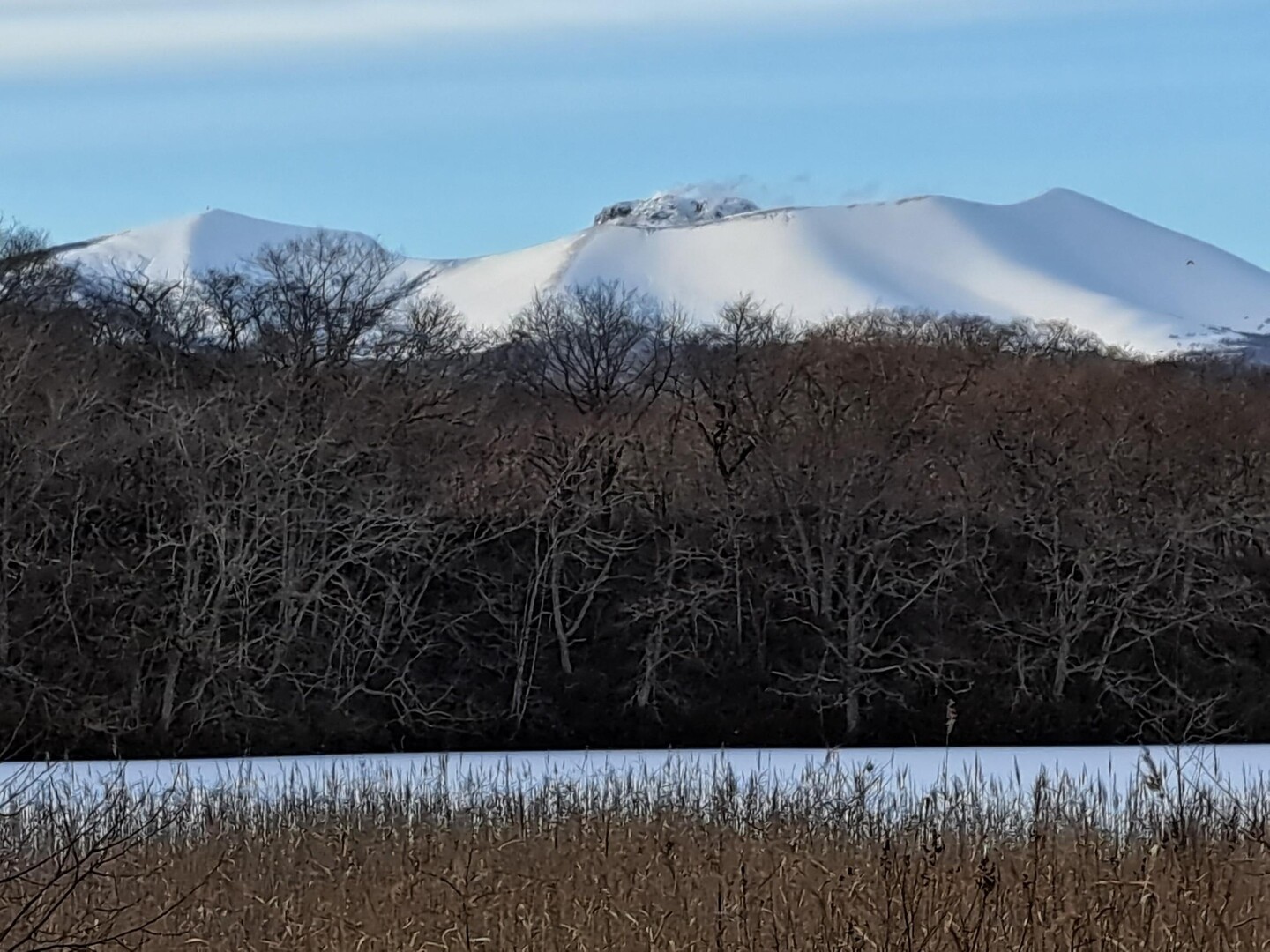 錦大沼-2025-01-05 / aripapaさんの樽前山・風不死岳の活動データ | YAMAP / ヤマップ