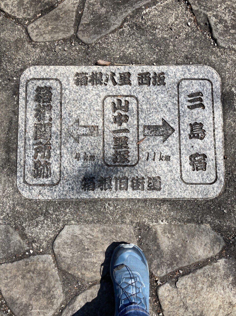 旧東海道-8日目 / Aokatiさんのウォーキングの活動データ | YAMAP / ヤマップ