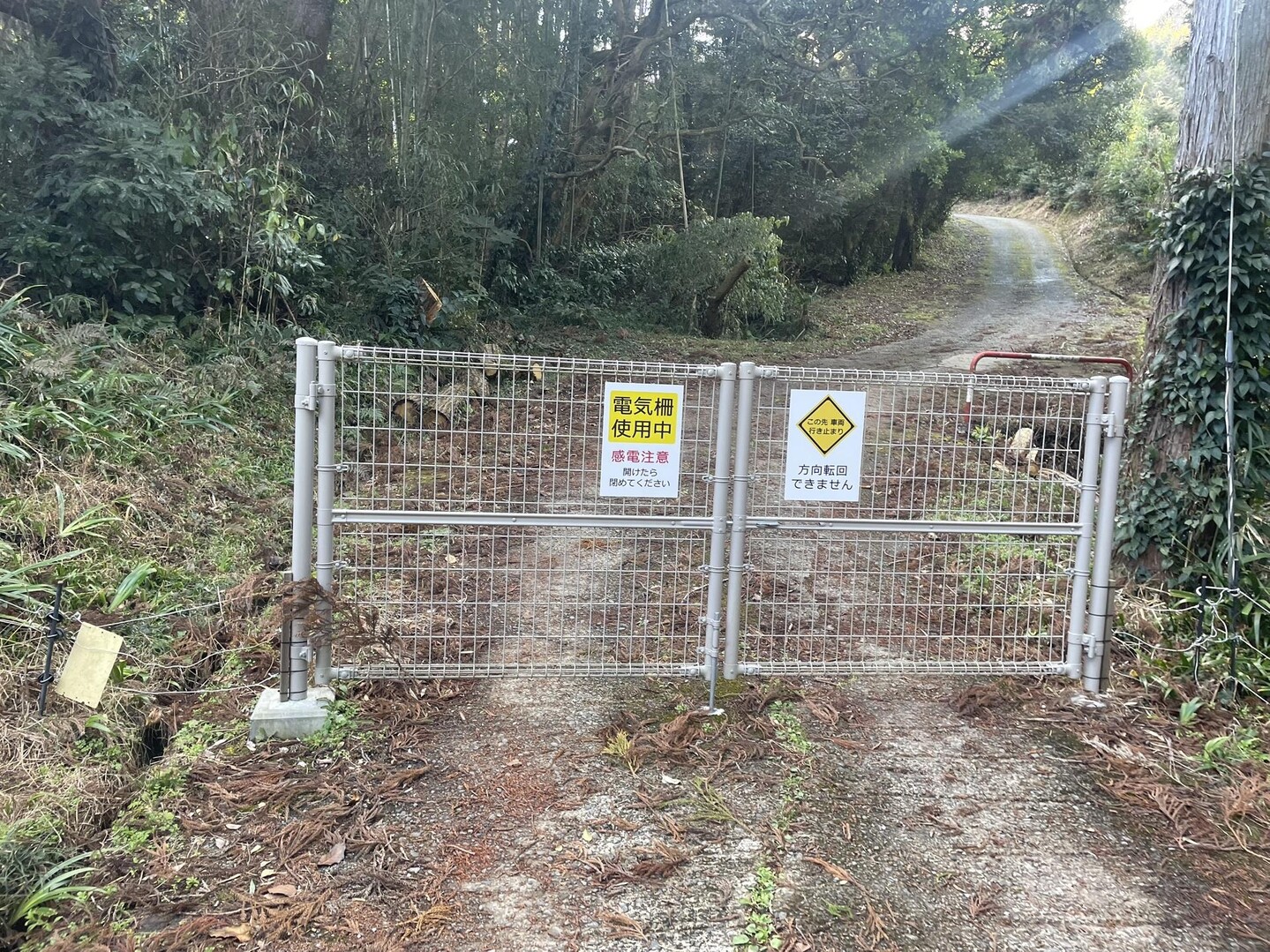 hideshanさんの投稿したフィールドメモ | YAMAP / ヤマップ