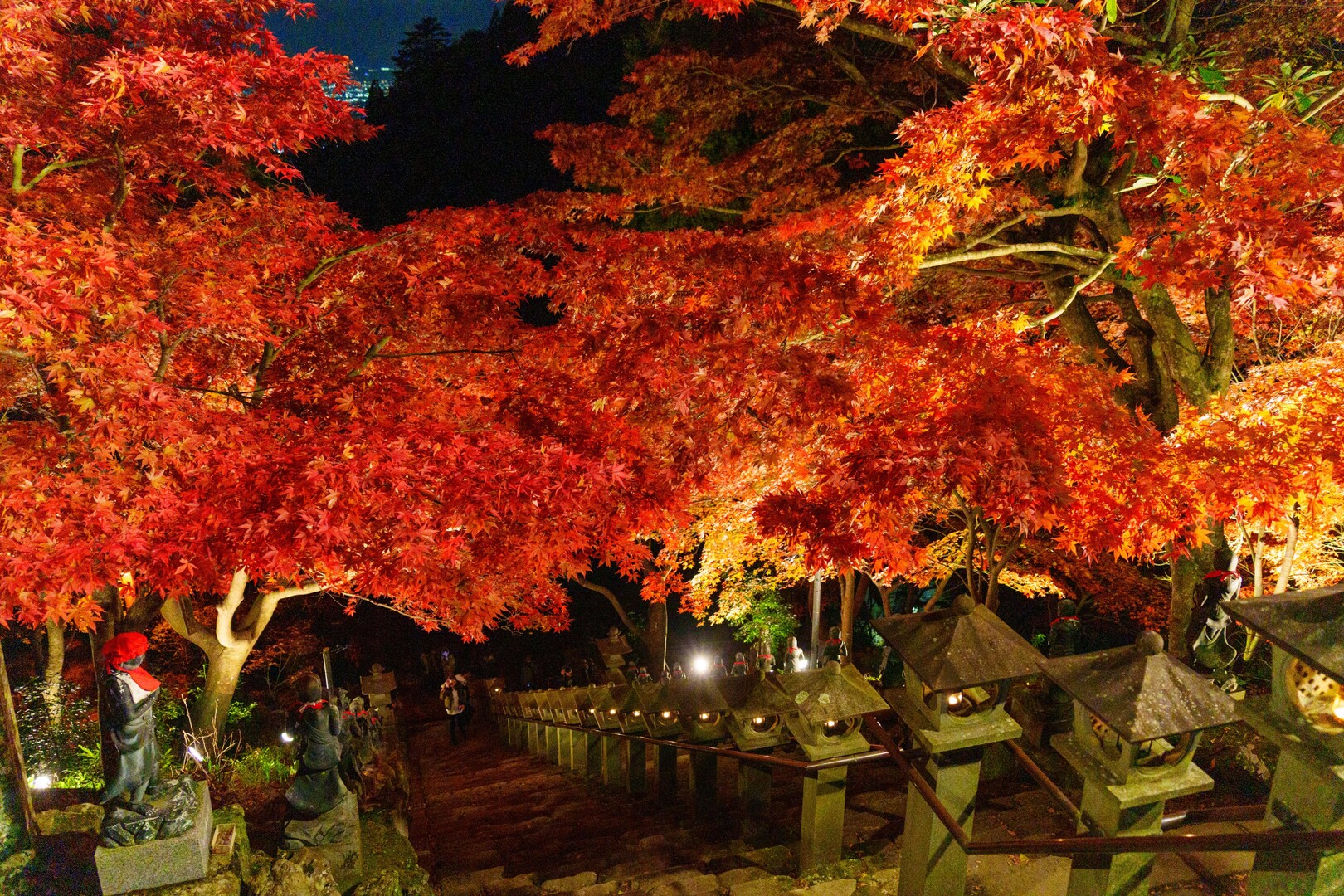 大山詣 / Masa.Rさんの大山の活動データ | YAMAP / ヤマップ