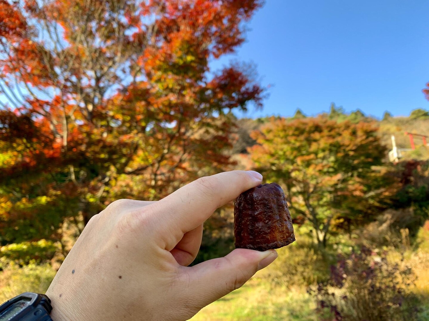 妻とカヌレと筑波山 / りょうちんさんの筑波山の活動データ | YAMAP / ヤマップ