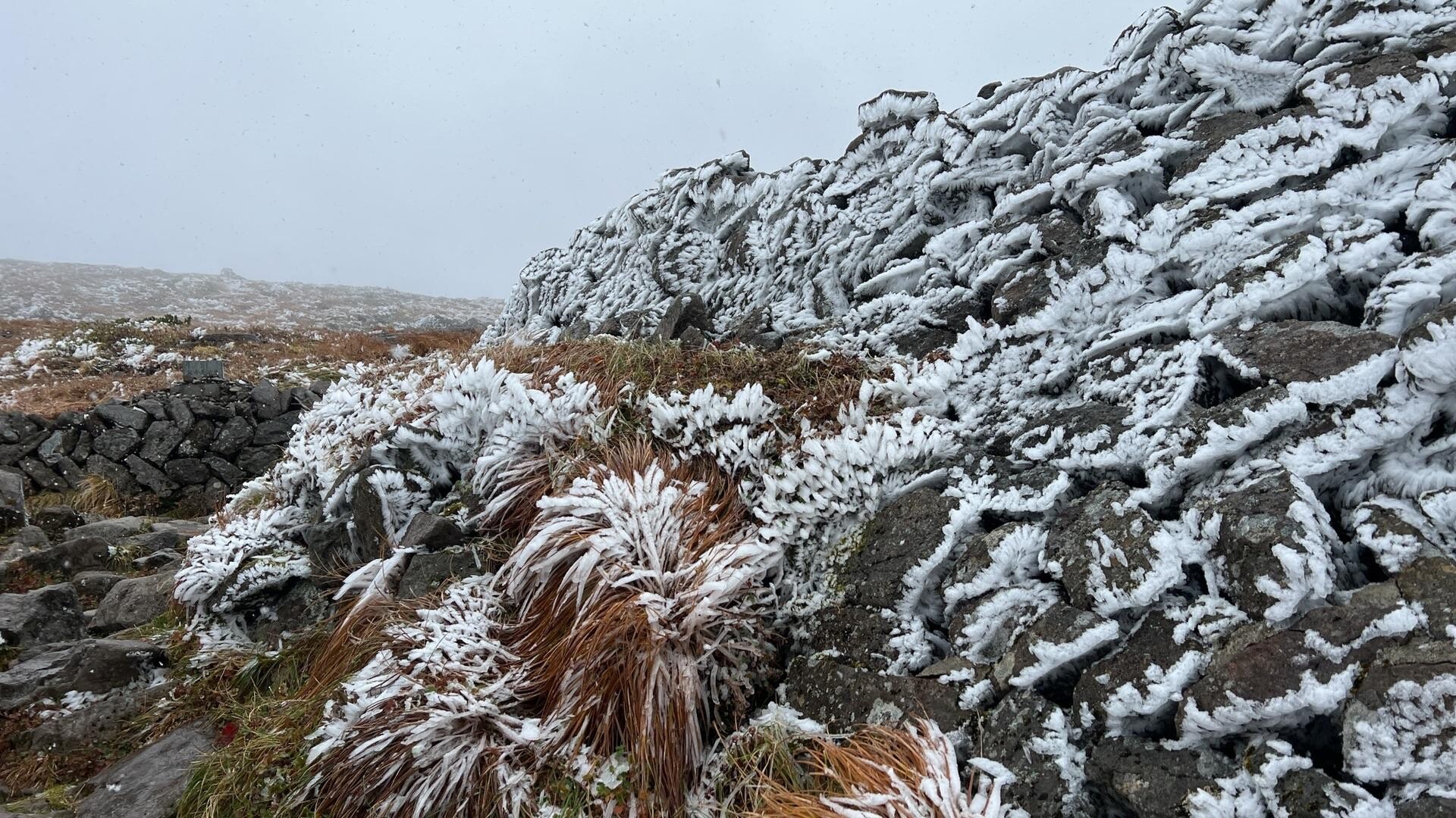 ガッスガス‼東北遠征①日目️！月山😵 / Zeroさんの月山の活動データ | YAMAP / ヤマップ