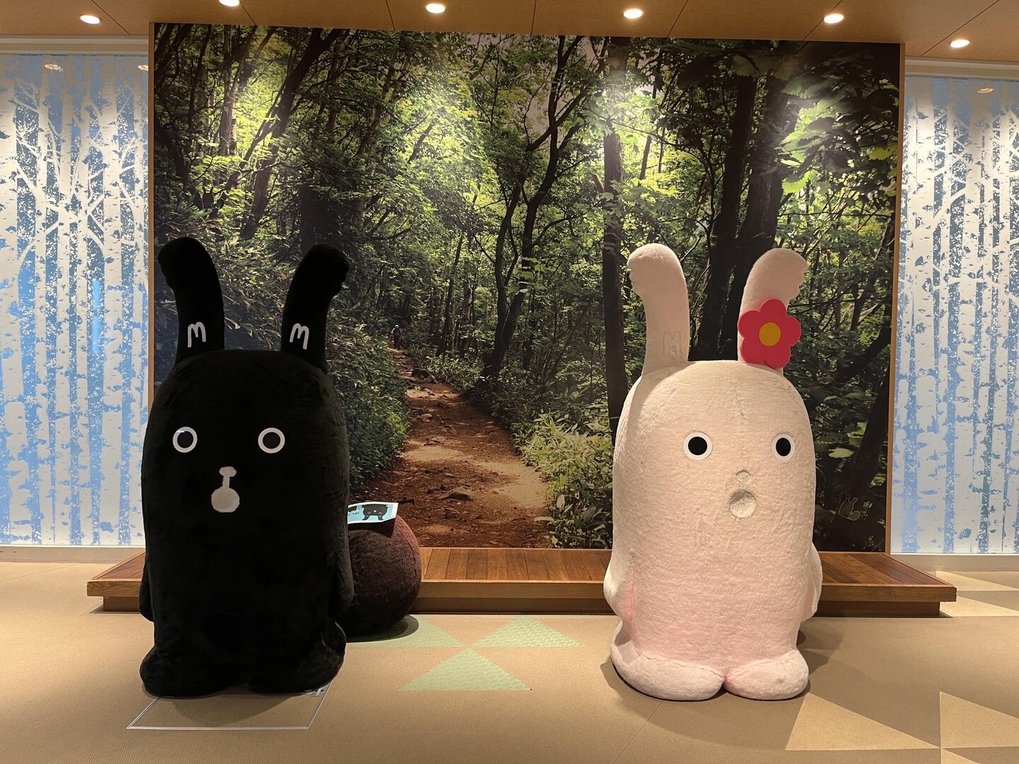 藻岩山〜お楽しみ🏮 / circeさんのウォーキングの活動データ | YAMAP / ヤマップ