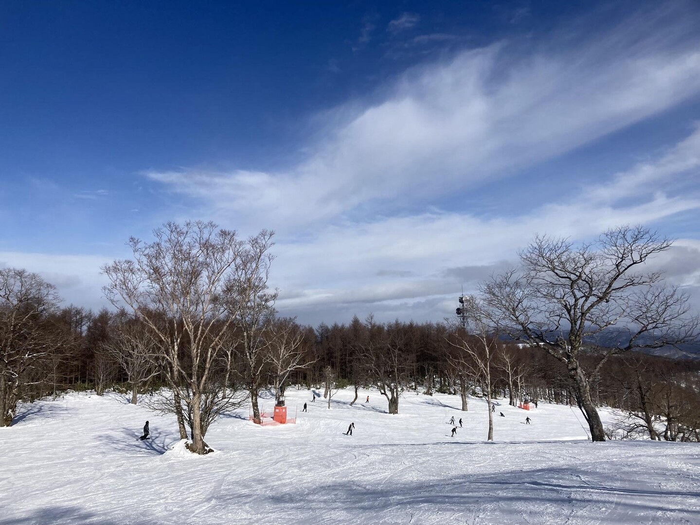 青空☀️めいほうスキー⛷ / akoさんのめいほうスキー場の活動データ | YAMAP / ヤマップ