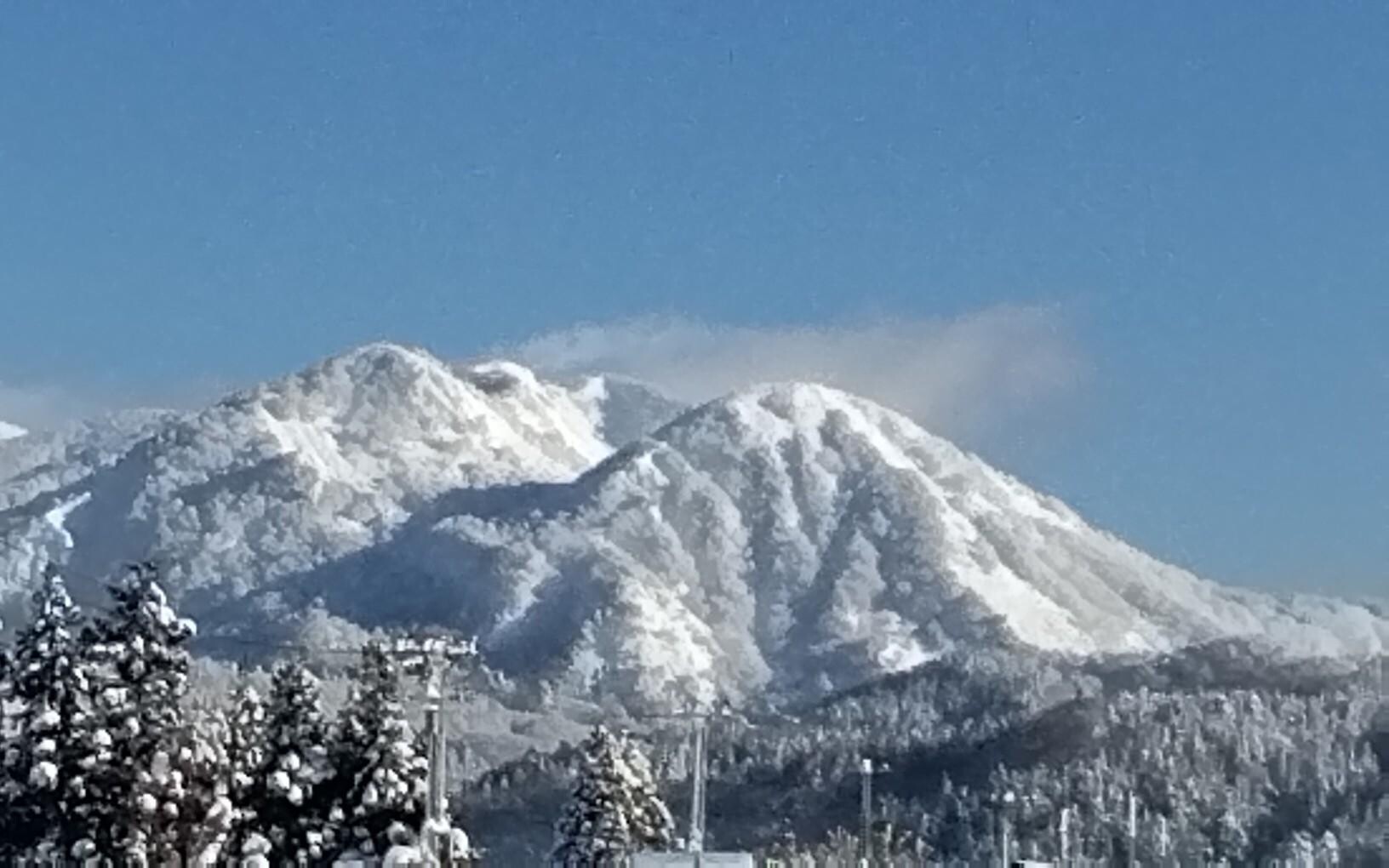 年末ですよ🤗 久しぶりの晴れ間です 荷... / 林のｸﾏkinさんのモーメント | YAMAP / ヤマップ