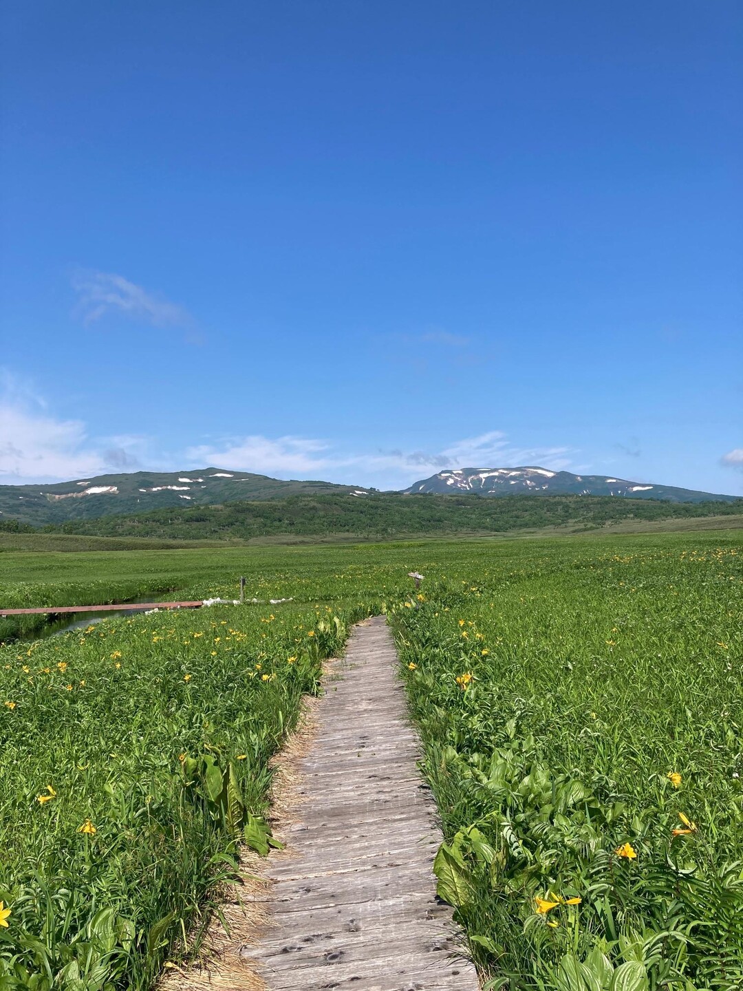 南暑寒岳 雨竜沼湿原 / TKさんの暑寒別岳の活動データ | YAMAP / ヤマップ