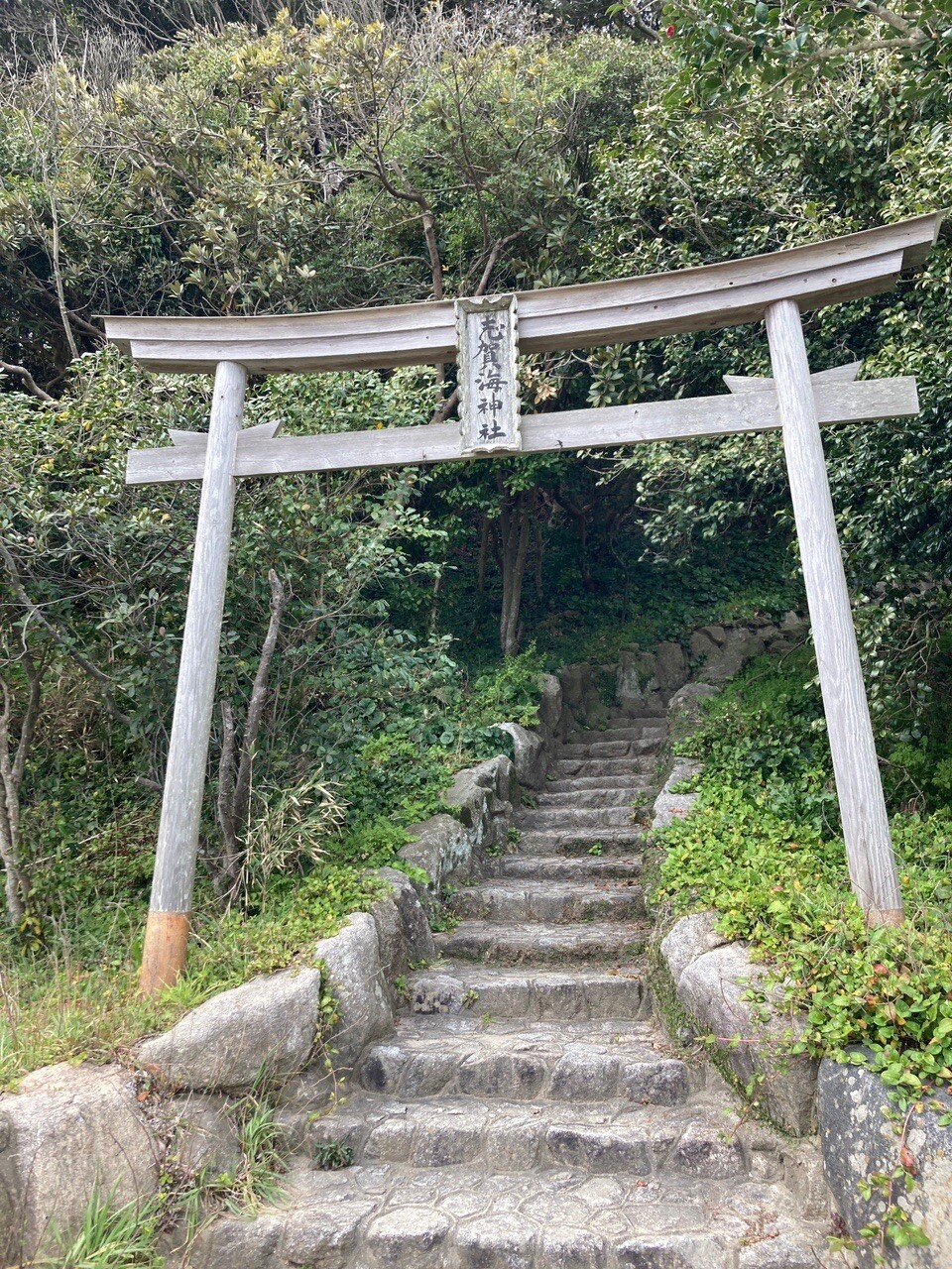 勝山・弥五郎山 〜 志賀島散策 〜 / Rocheさんの志賀島・潮見山の活動データ | YAMAP / ヤマップ