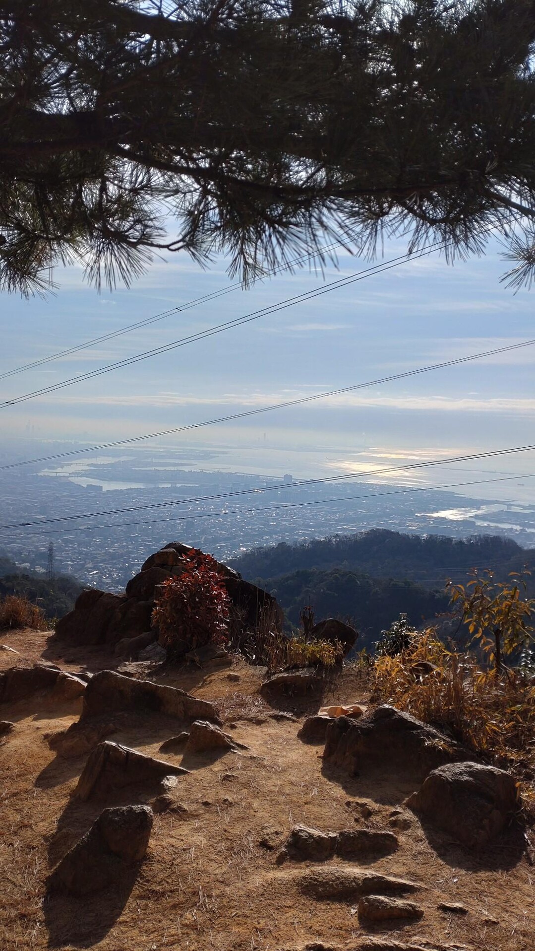芦屋川〜六甲山頂 / j-goingさんの六甲山・長峰山・摩耶山の活動データ | YAMAP / ヤマップ