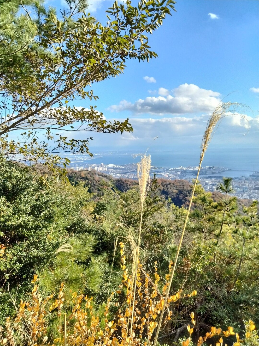 十文字山・打越山・七兵衛山・金鳥山 / YAS-KOBさんの六甲山・長峰山・摩耶山の活動データ | YAMAP / ヤマップ
