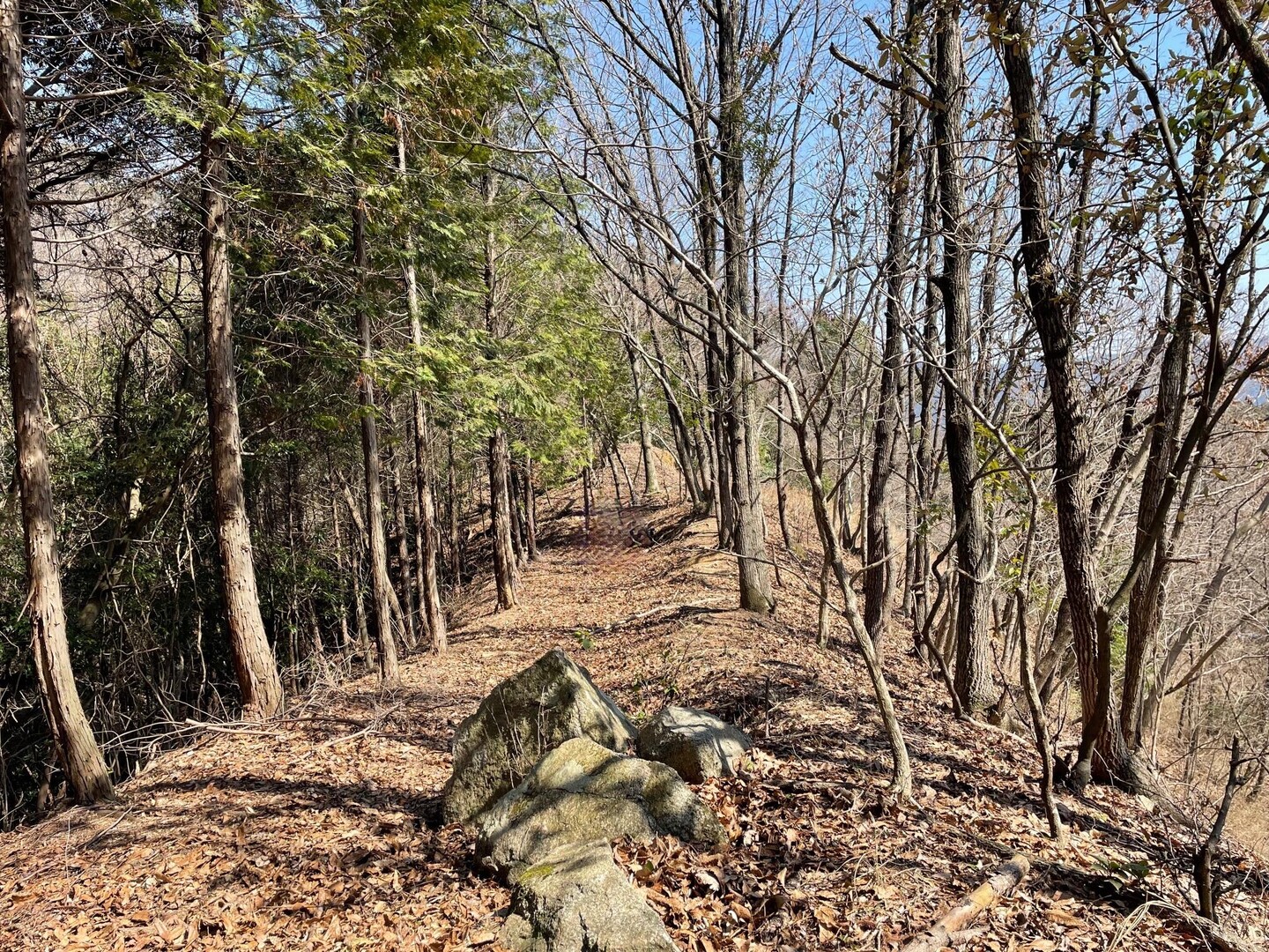 ~岩石山・弓張岳~ / peach。さんの岩石山（岩石城）の活動データ | YAMAP / ヤマップ