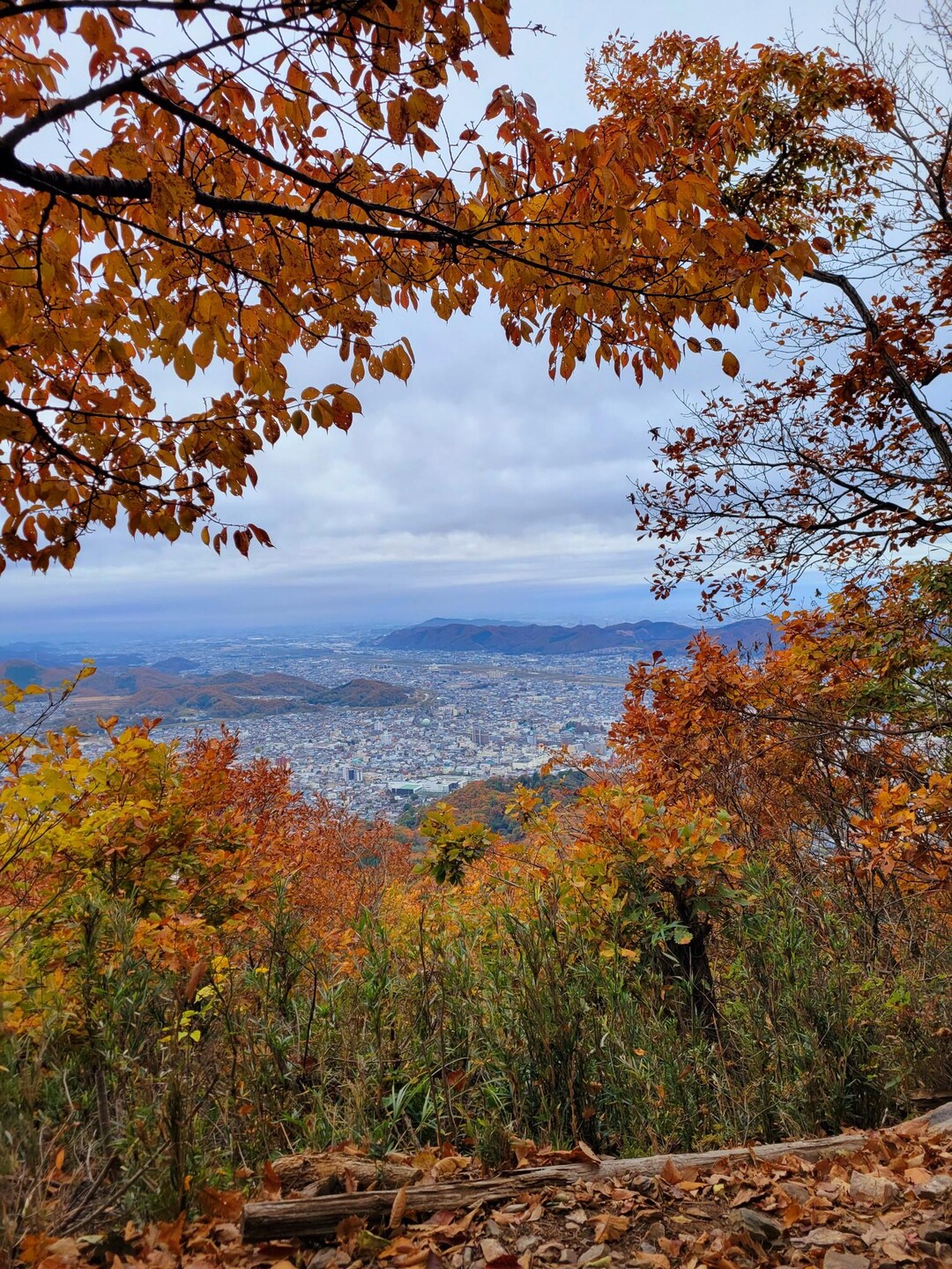 里山紅葉登山🍁吾妻山 / BOSSの山登りさんの鹿田山の活動データ | YAMAP / ヤマップ