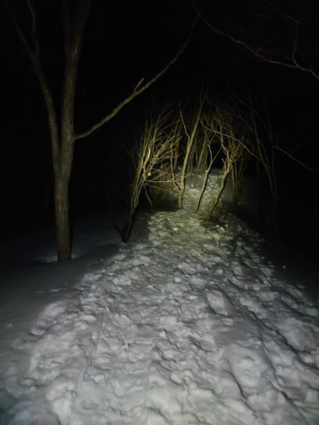 日帰り巻機山ピストン(しんどい) / K1さんの巻機山・割引岳・金城山の活動データ | YAMAP / ヤマップ