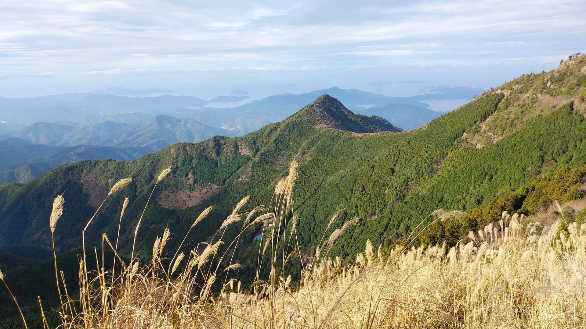 高月山・櫨ヶ森・毛山・鬼ヶ城山・大久保山・八面山・横ノ森・小屋ヶ森・串ヶ森・目黒鳥屋・三本杭 / 梅太郎さんの三本杭・鬼ヶ城山・高月山の活動データ | YAMAP / ヤマップ