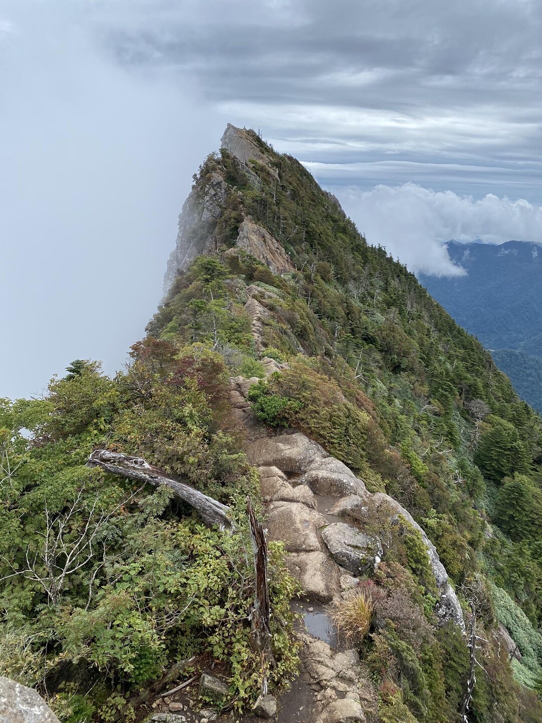 石鎚山・天狗岳 / MOさんの石鎚山・堂ヶ森・二ノ森の活動データ | YAMAP / ヤマップ