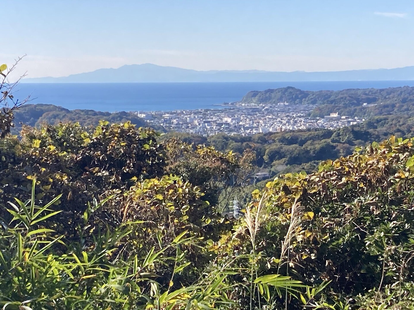 鎌倉アルプス / taka.run-skiさんの鎌倉アルプス（大平山・天台山）の活動データ | YAMAP / ヤマップ
