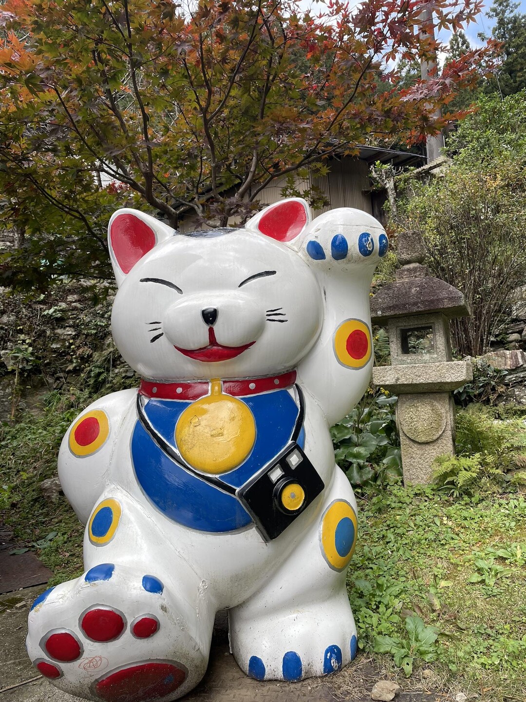 ピークだらけ😆岩塚田山・みよし山・心殊山・文殊山・弘法山・喜桜山・丸山・小柿山 ・空見山・雲見山・潮見山・額... / Cuernavaca🇲🇽さんの額堂山・水晶山・京ヶ峯の活動データ ...