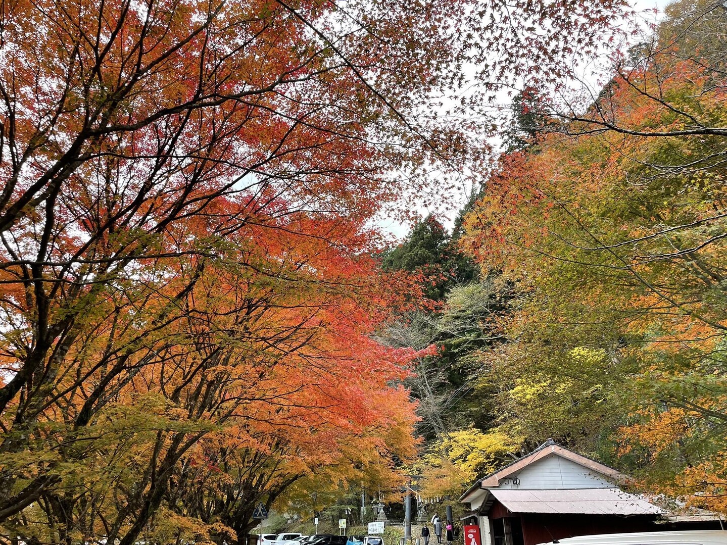 英彦山(北岳)紅葉狩り / タッケム（山Vr.）さんの英彦山の活動データ | YAMAP / ヤマップ