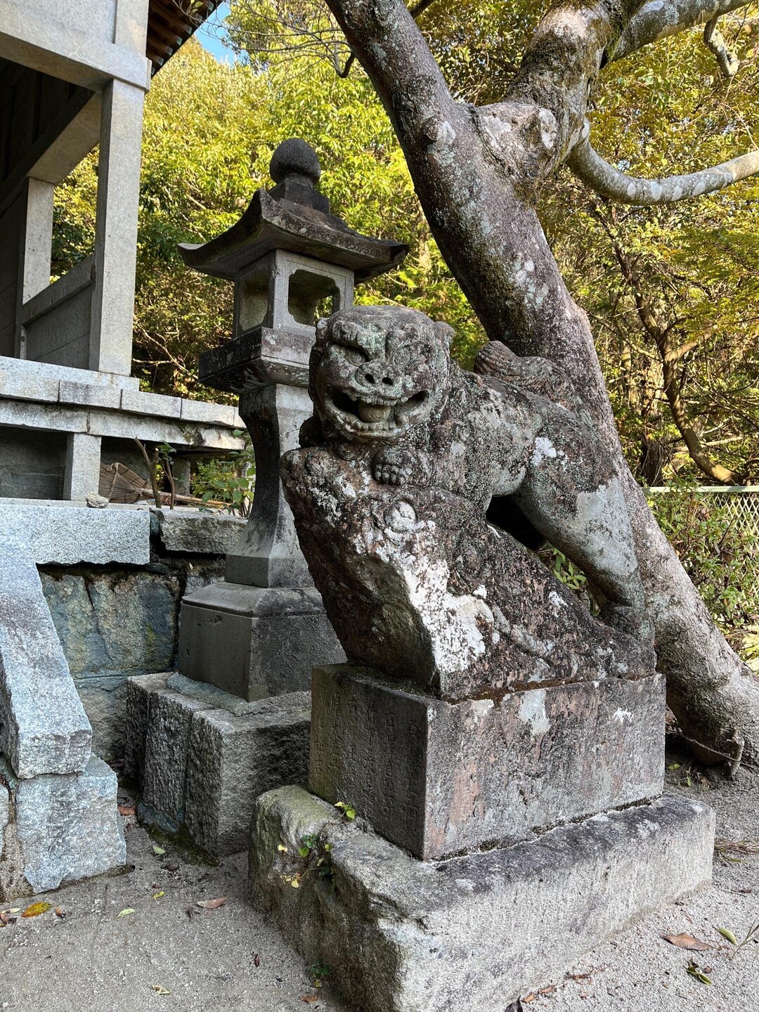 大門山・金立山・正現岳 / big treeさんの金立山・金敷城山の活動データ | YAMAP / ヤマップ
