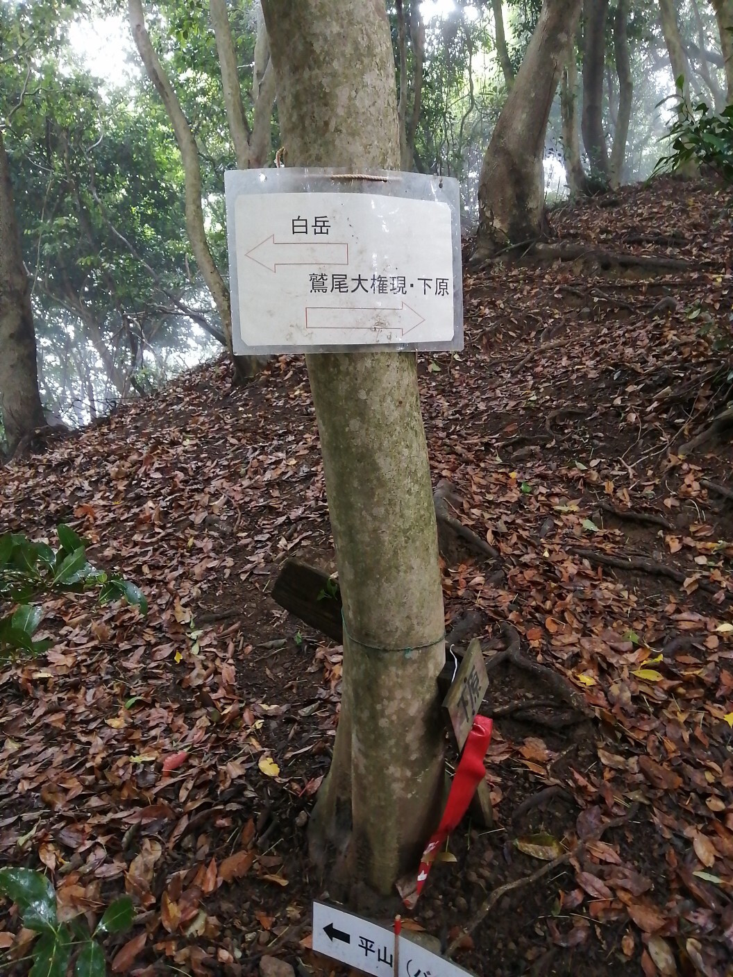 Nob ハイボール😎さんの投稿したフィールドメモ | YAMAP / ヤマップ