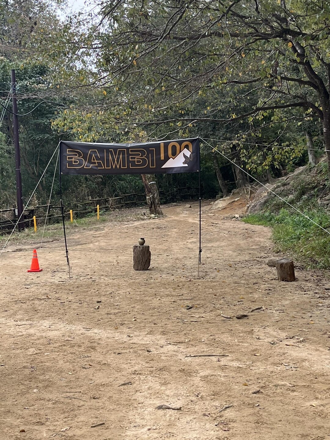 BAMBI100 逆走応援ラン / ちびさんのランニングの活動データ | YAMAP / ヤマップ