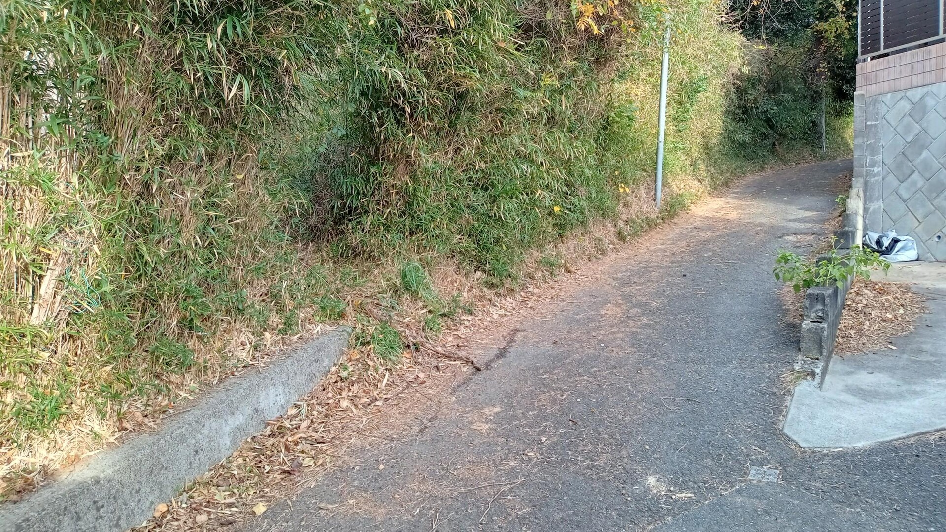 Rikuさんの投稿したフィールドメモ | YAMAP / ヤマップ