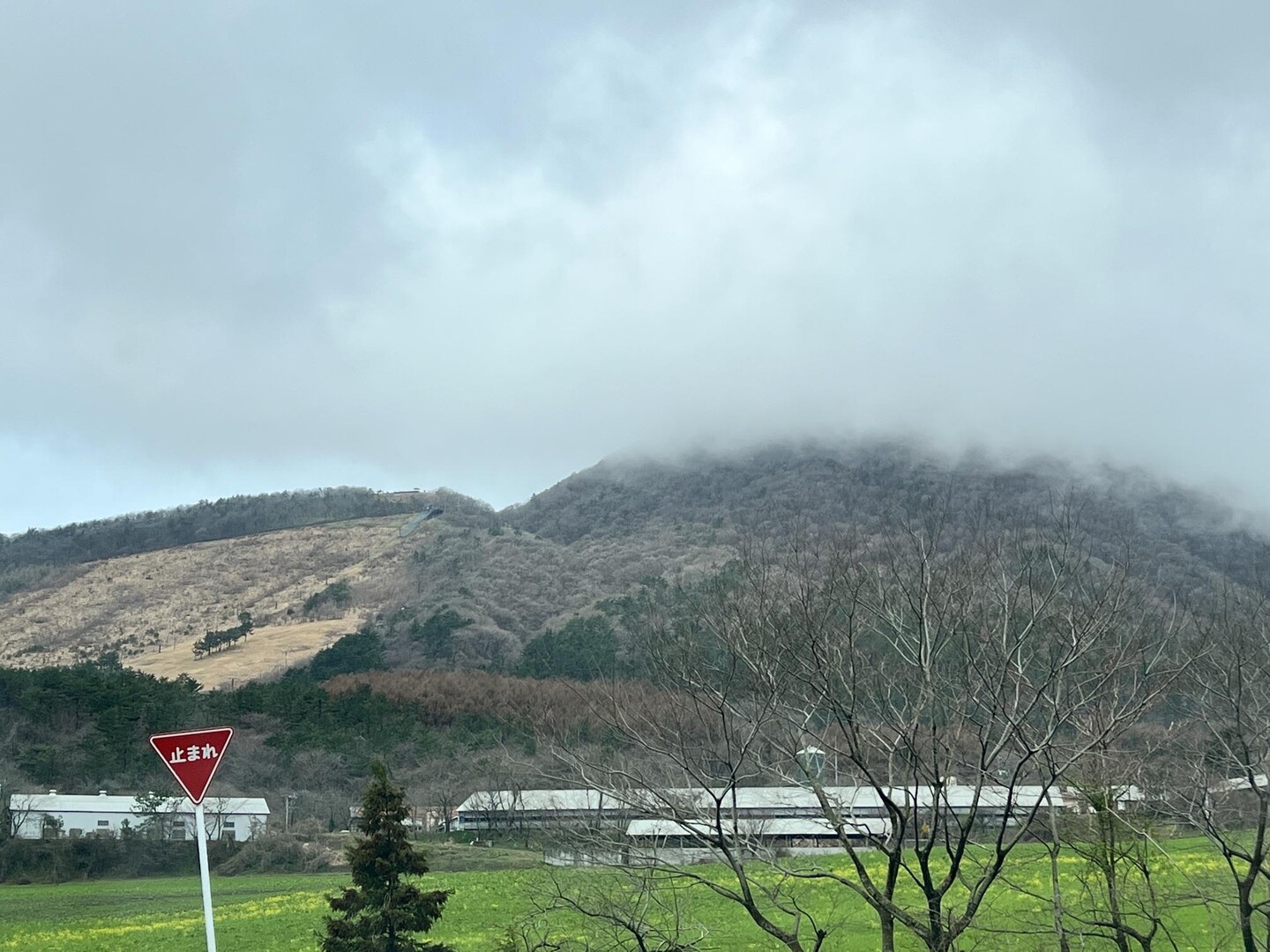 男三瓶山(三瓶山)・赤雁山・子三瓶山・孫三瓶山・大平山・女三瓶山 / tamさんの三瓶山・大平山の活動データ | YAMAP / ヤマップ