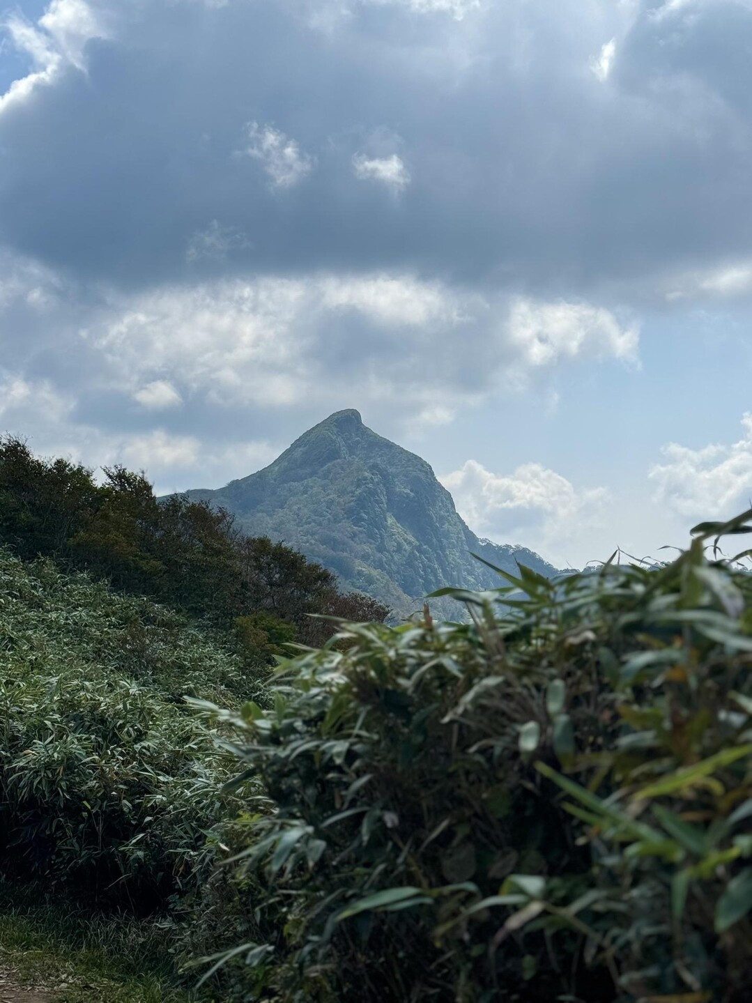 冠山 / Matsuさんの冠山・金草岳の活動データ | YAMAP / ヤマップ