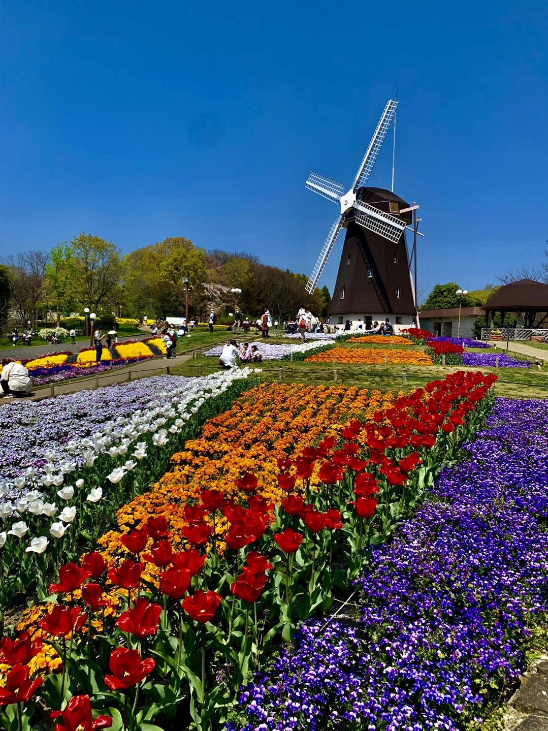 🌺🌸🌹🌷花博記念公園鶴見緑地をウォーキング2022-04-10🌸🌼🌹🌷😃 / KOBONさんのウォーキングの活動データ | YAMAP / ヤマップ