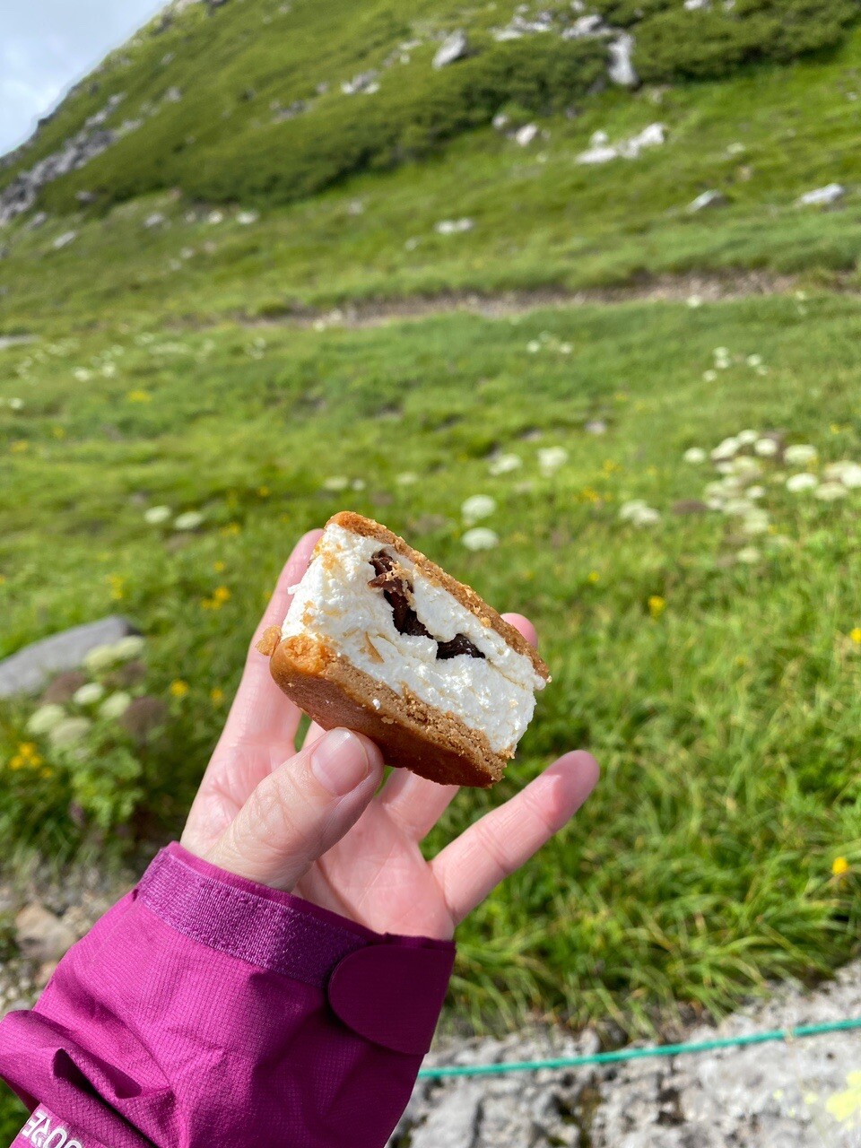乗鞍岳で高度順応せよ🌈（追記あり）、、、軌跡回復😆‼️ / yuriさんの乗鞍岳の活動データ | YAMAP / ヤマップ