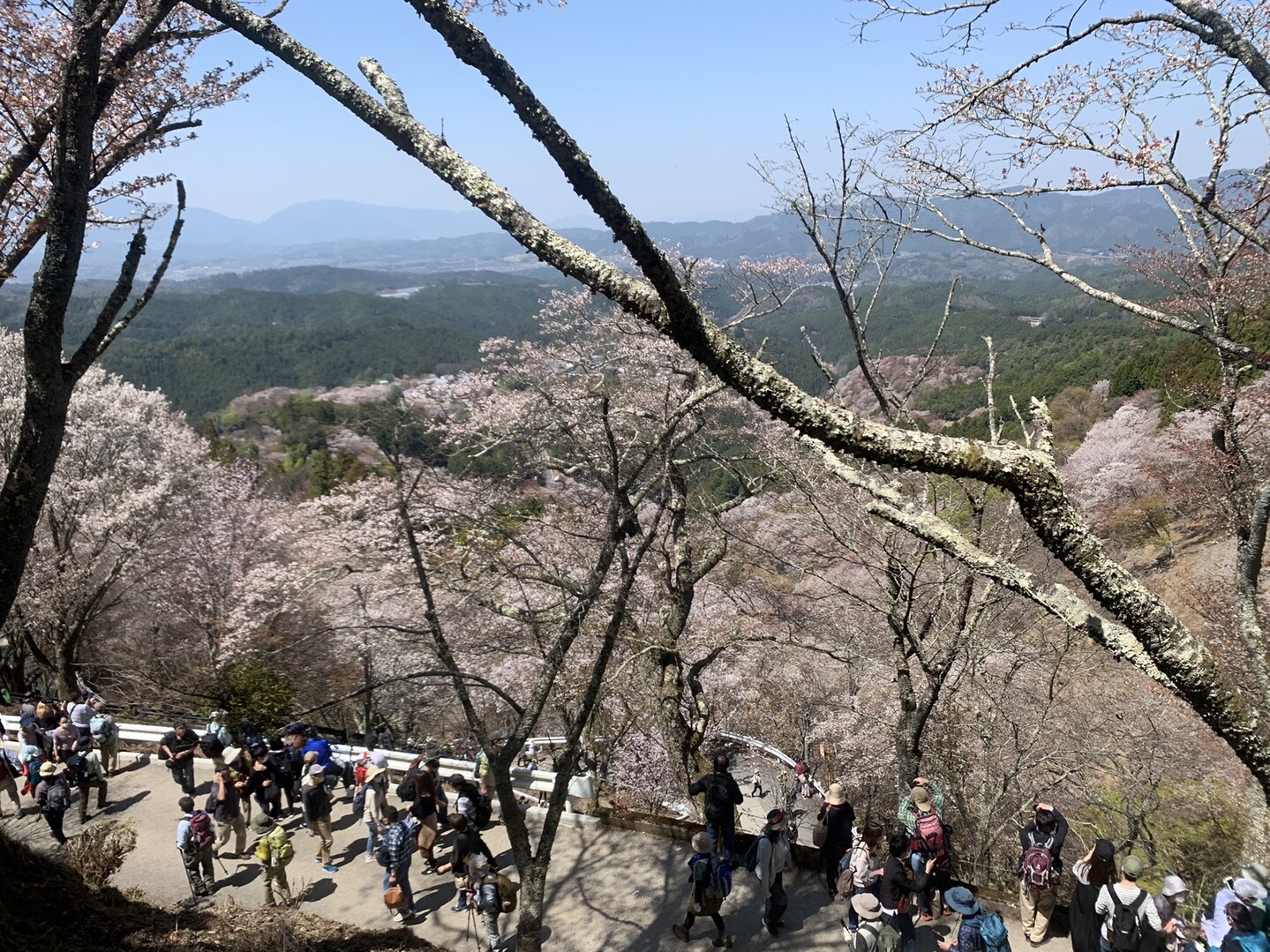 高城山 / Hiro_10さんの吉野山・青根ヶ峰・百貝岳の活動データ | YAMAP / ヤマップ
