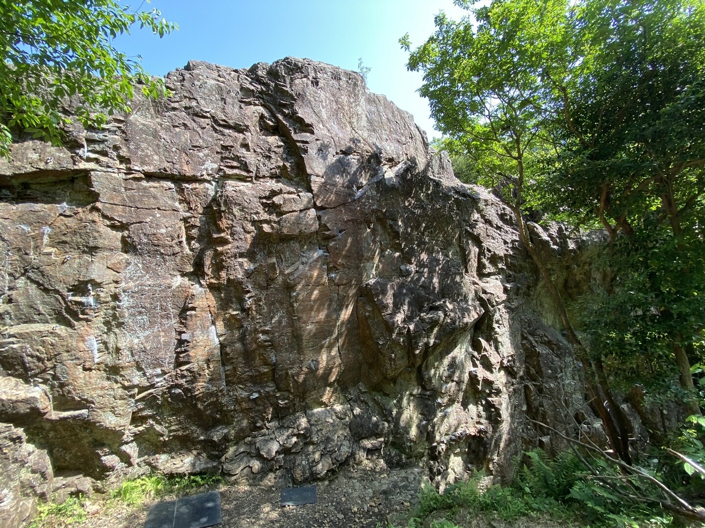 春日井三山クライミング＆歩荷 / Eddieさんの春日井三山・弥勒山・大谷山・道樹山の活動データ | YAMAP / ヤマップ