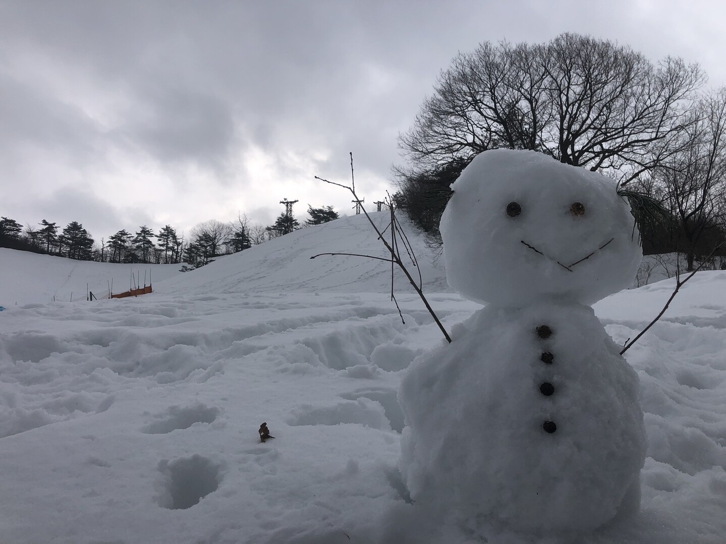 猿毛岳・冬鳥越 / Naluさんの猿毛岳の活動データ | YAMAP / ヤマップ