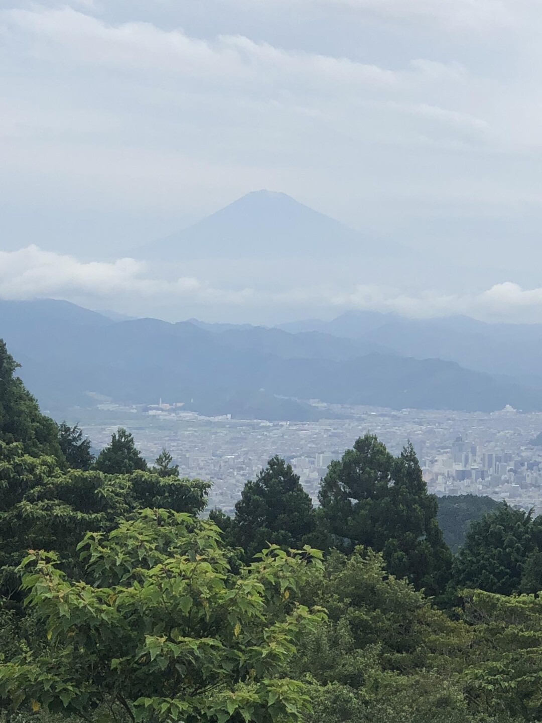 満観峰 / sky highさんの焼津アルプス（高草山・満観峰・花沢山）・徳願寺山の活動データ | YAMAP / ヤマップ