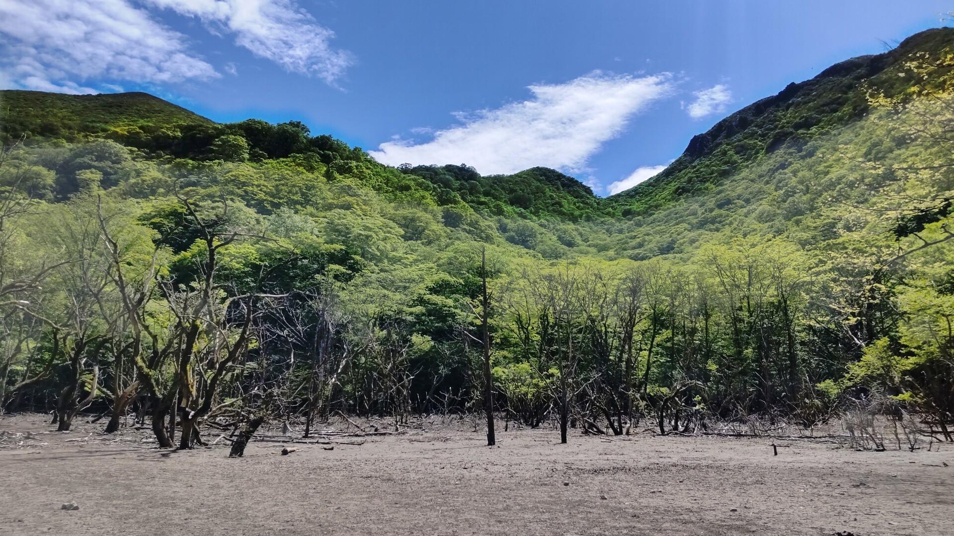 夏のアルプスに向けトレーニング＃2（続き） / Mt.Keyさんの九重山（久住山）・大船山・星生山の活動データ | YAMAP / ヤマップ
